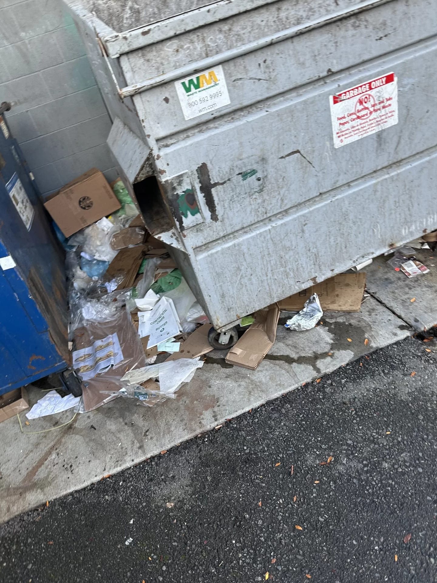 Commercial Center Maintenance and Cleaning Services | Rebel DK